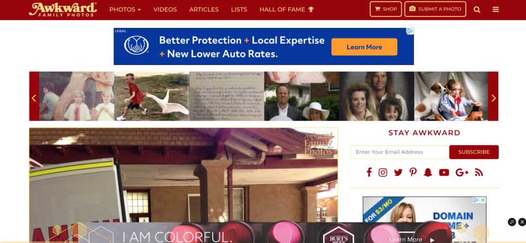 10 Amazing Websites | Element 502
